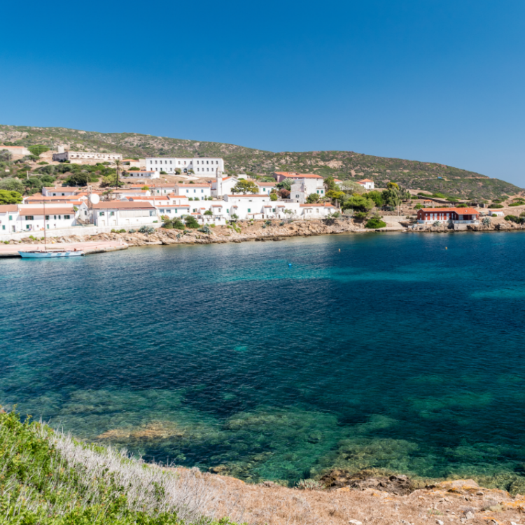 Get tickets to La Pelosa | Your access to the Beach! – La Pelosa Tickets